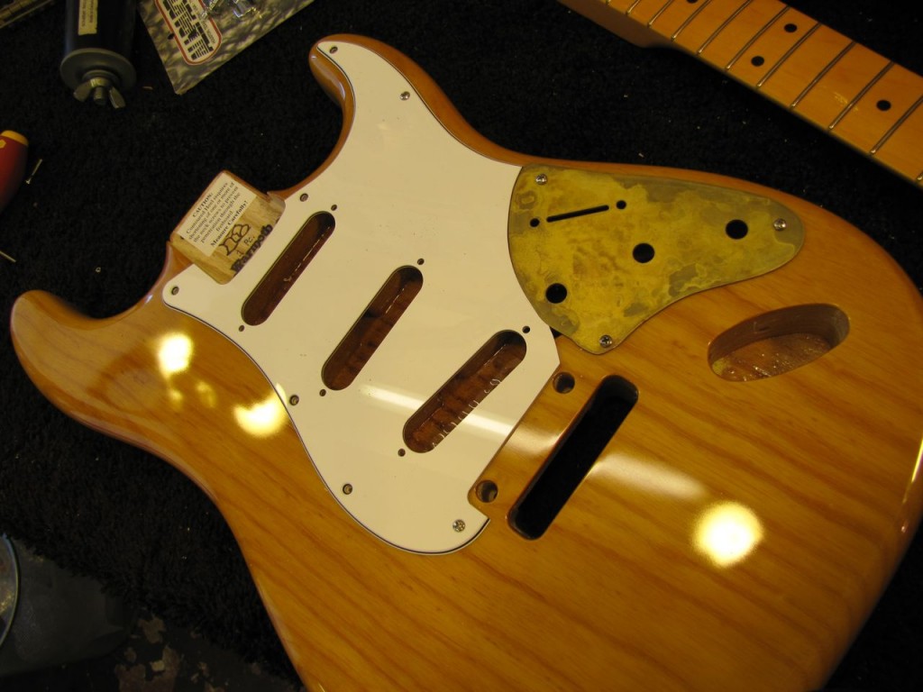 Scott's "Alligator" Strat – SF Guitarworks