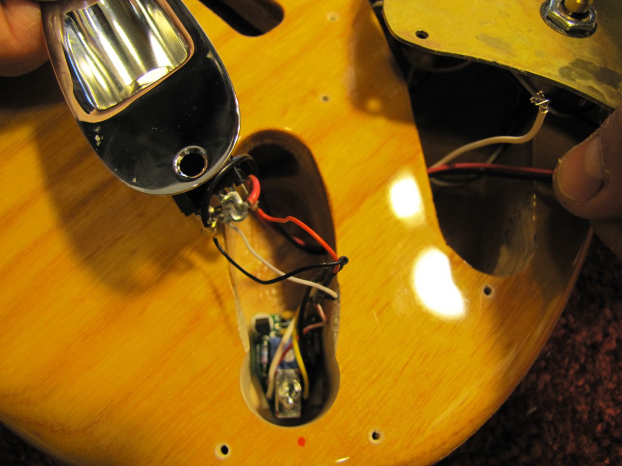 Scott's "Alligator" Strat – SF Guitarworks